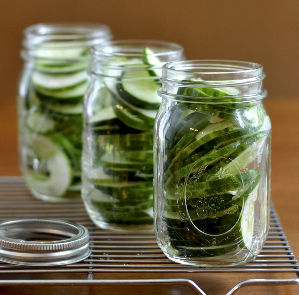 Easy Homemade Pickles from Real Food Real Deals