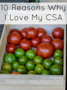 Ten Reasons Why I Love My CSA Farm Share