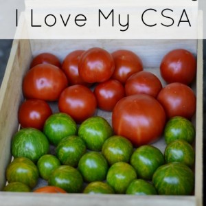 CSA Cost Breakdown from Real Food Real Deals
